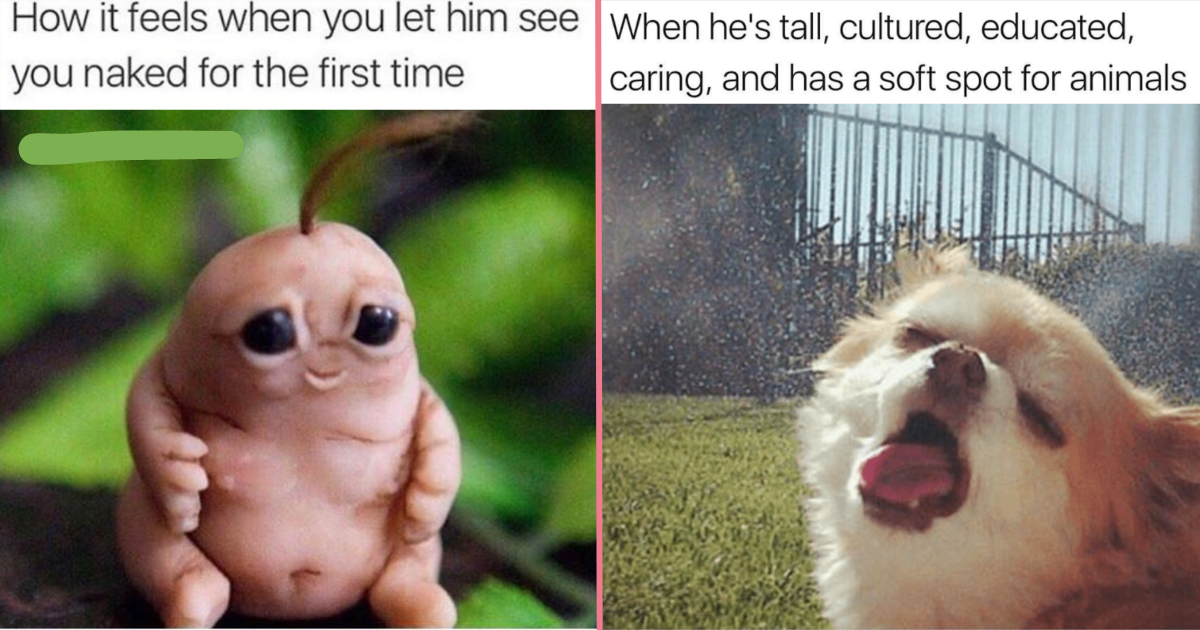 33 Wholesome Relationship Memes to Brighten Your Partner’s Work Day ...