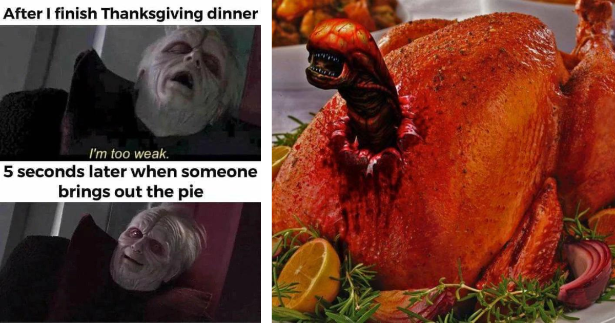 The Ultimate Geek Feast: 30 Memes for a Fandom-Filled Thanksgiving ...