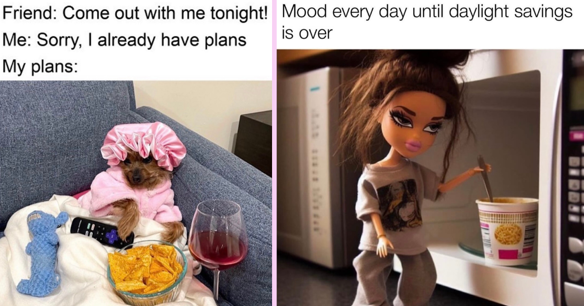 30 Memes for Introverts Who'd Rather Hibernate Than Navigate Winter ...