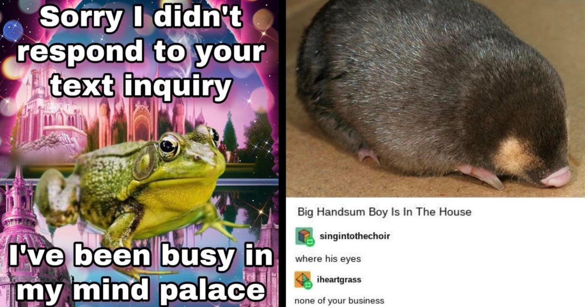 31 Animal-Themed Moody Monday Memes To Break Up Another Monotonous ...