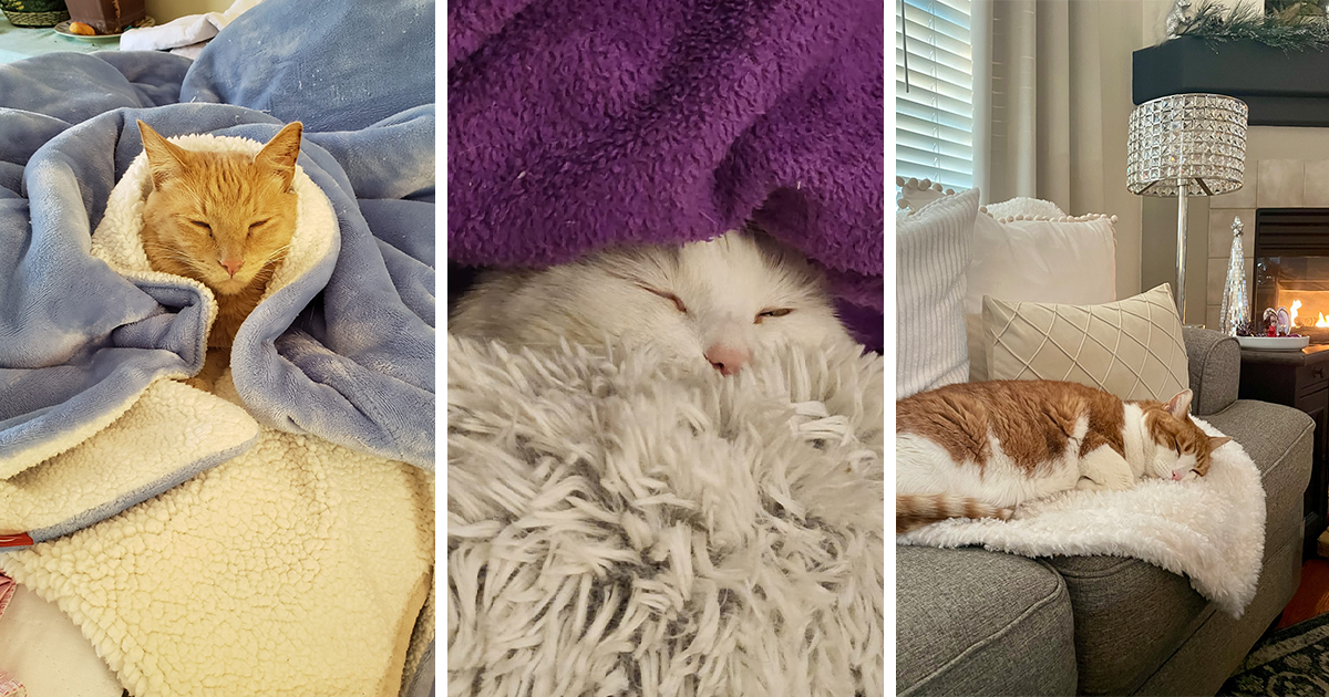 Keeping Warm On These Cold Winter Days With The Coziest, Softest, Most ...