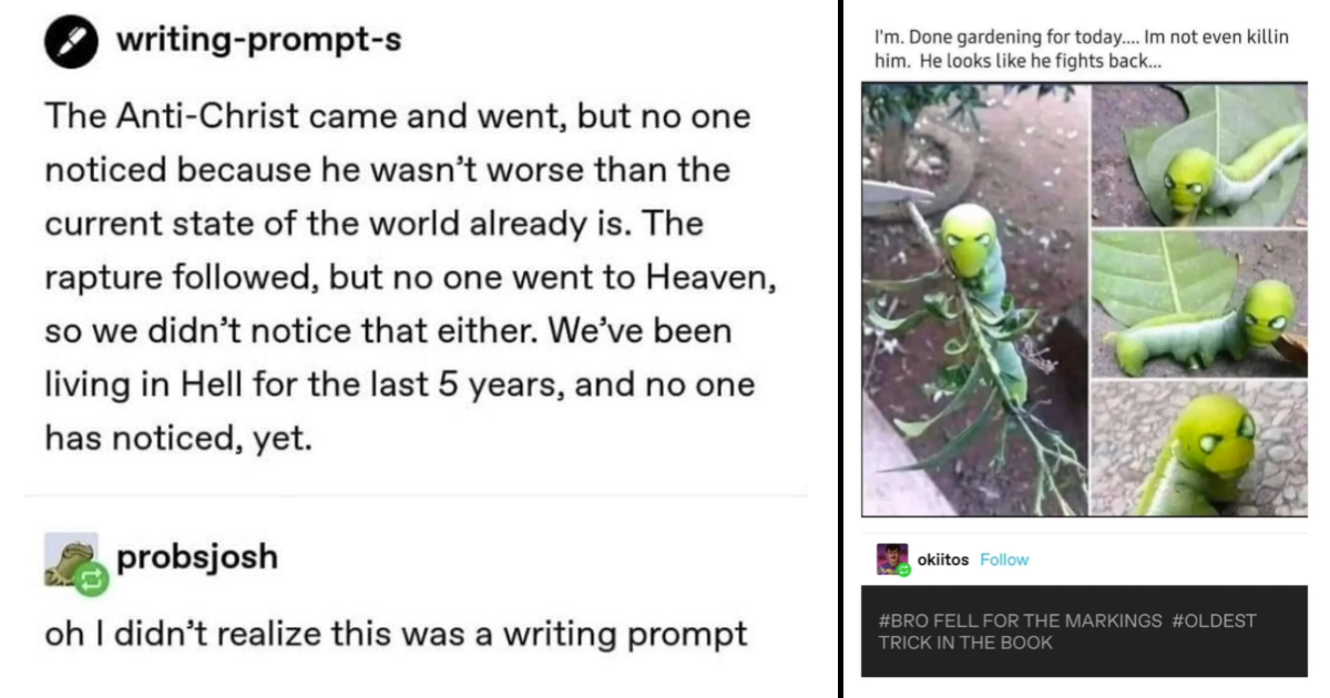 25 Titillating Tumblr Gems That Cover Topics Great and Small - Memebase ...