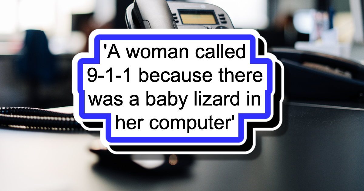 'He caught a raccoon and didn't know what to do next': 30+ Hilarious ...