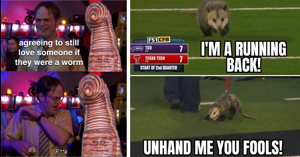 Wild Hilarious Animal Memes To Inspire Your Wild-Side This Saturday ...