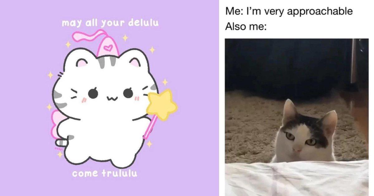 30 Cute And Sassy Cat Memes To Cuddle With At Home (December 7, 2023) - I Can Has Cheezburger?