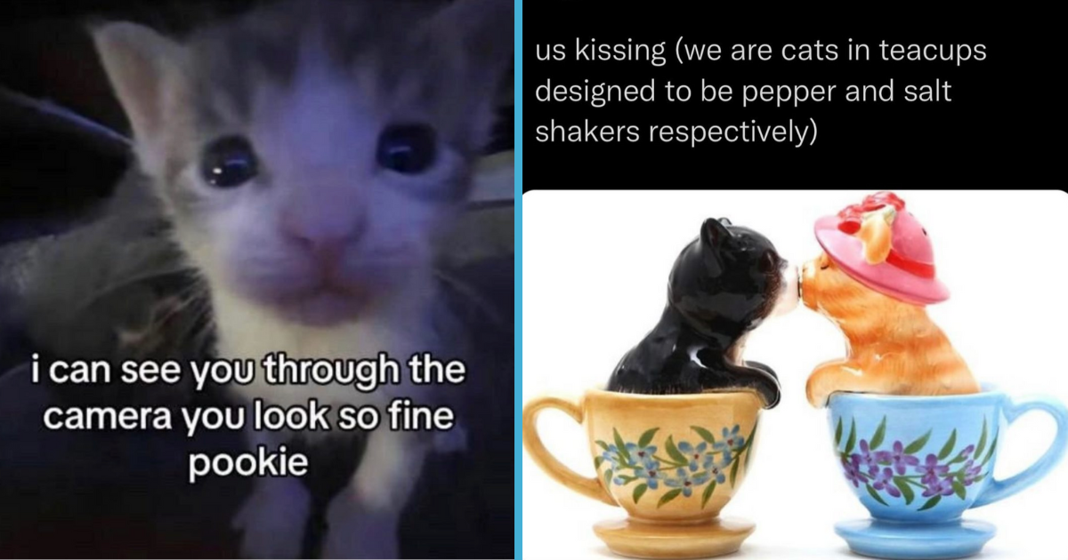 27 Heartwarming Animal Memes For Smitten Kittens Who Were Bit By The ...