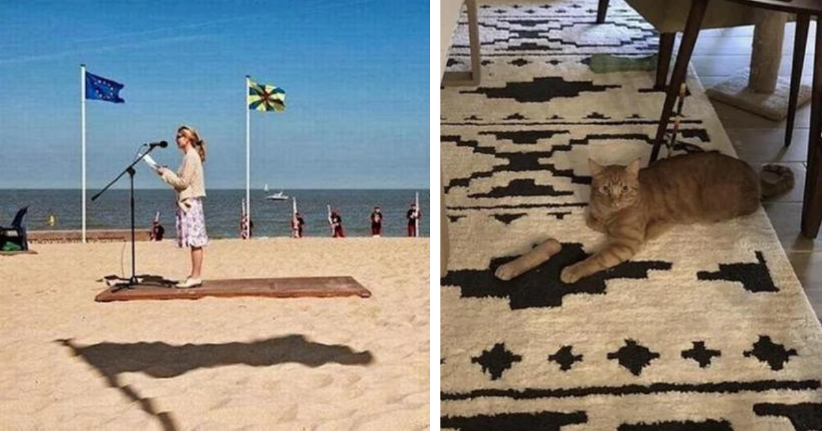 Blink Twice: 56 Photos That Demand a Double-Take (December 11, 2023 ...