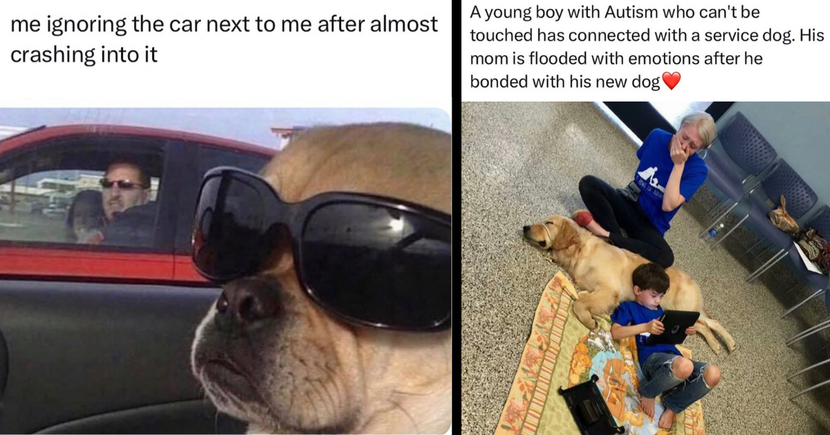 Doggie Dump of Dopamine To Ride Until The Last Woof Of The Weekend ...