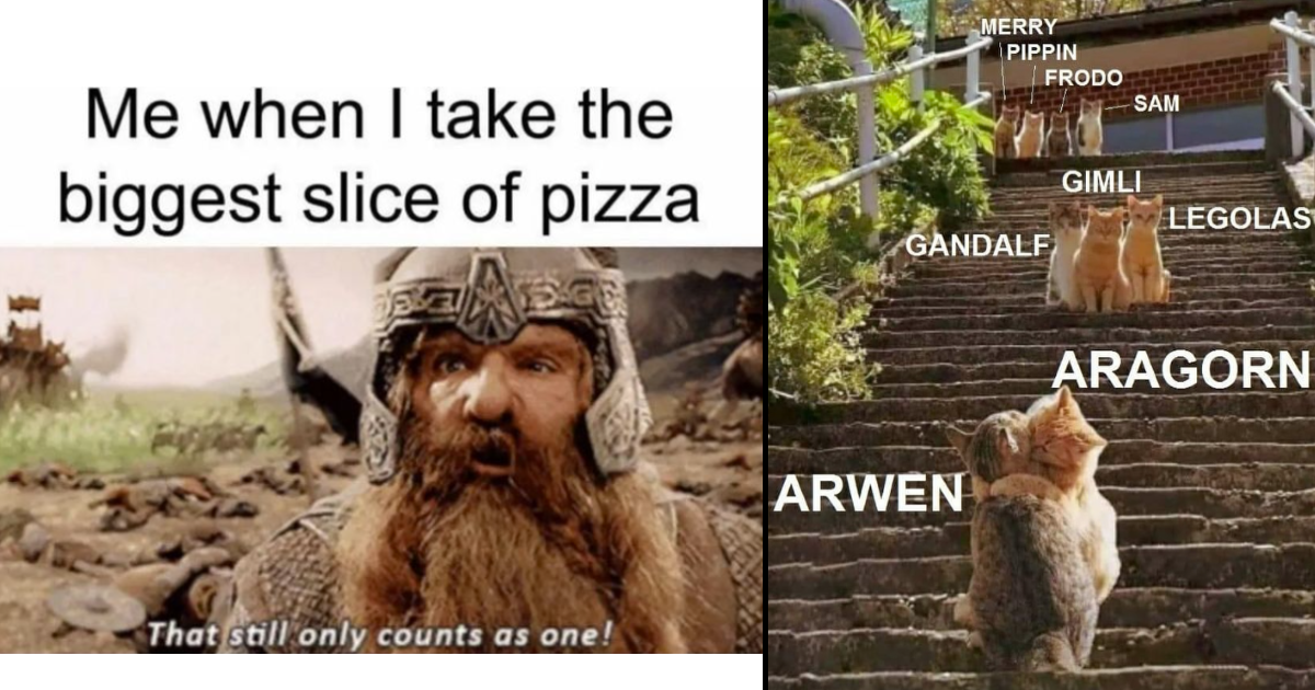 Memes Pendekos Tolkien Tuesday: The Best Lord Of The Rings Memes This