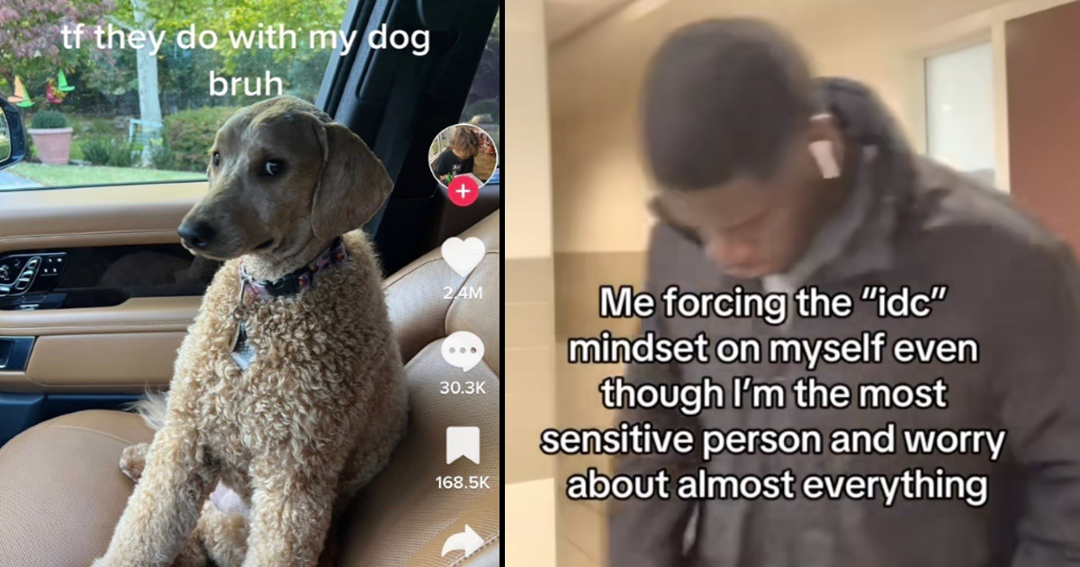 The Most Entertaining Takes From TikTok This Week (December 12, 2023 ...