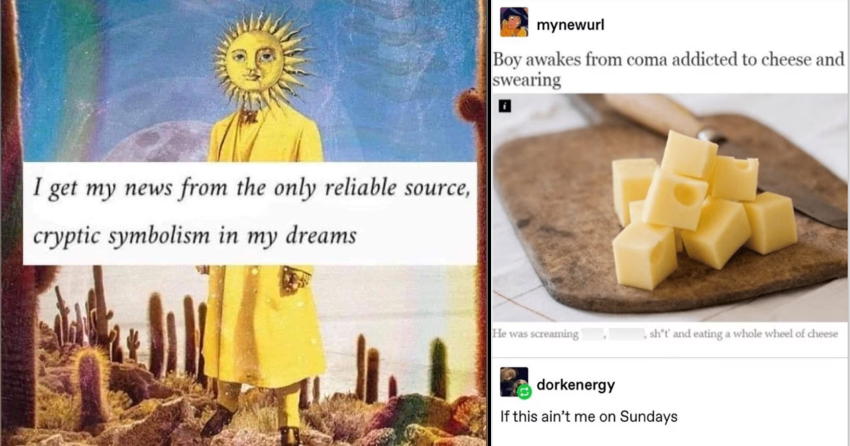 A Thorough Rub Down of 30 Memes - Memebase - Funny Memes