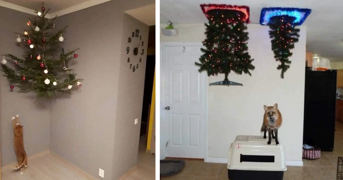 23 Pawsitively Pet-Proof Christmas Trees For A Drama-Free December ...