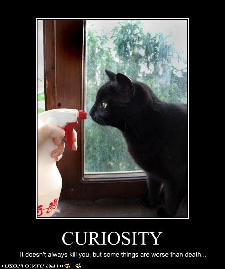 CURIOSITY - Cheezburger - Funny Memes | Funny Pictures