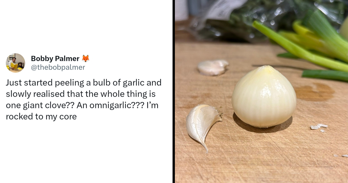 'You are about to have the best dinner of your life': Cook Acquires ...