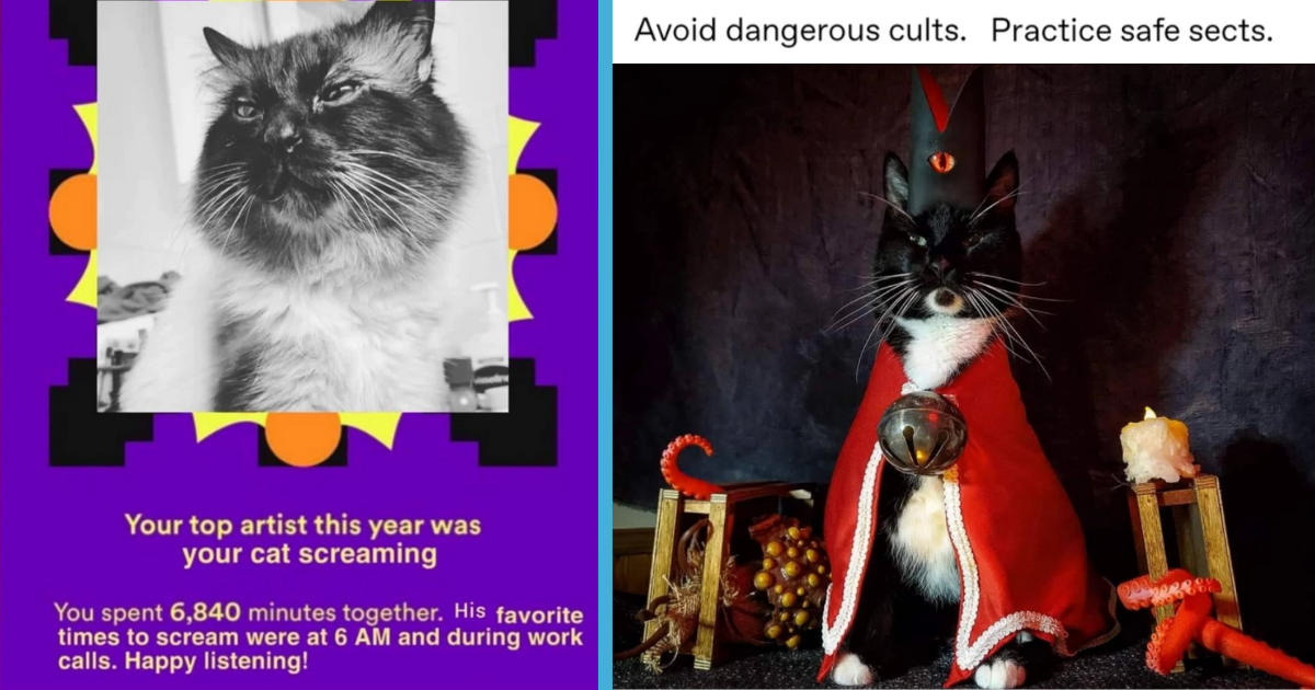 Avoiding Like Button Meme