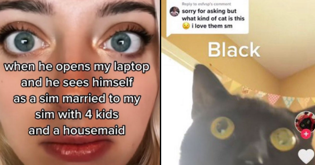 'I sentence you to eating without YouTube': The Most Entertaining Takes ...