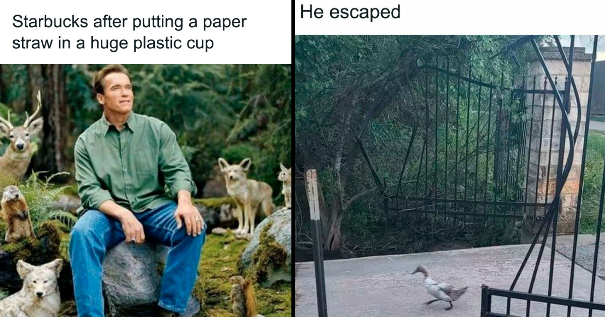 A Parcel of Memes Delivered Promptly - Memebase - Funny Memes