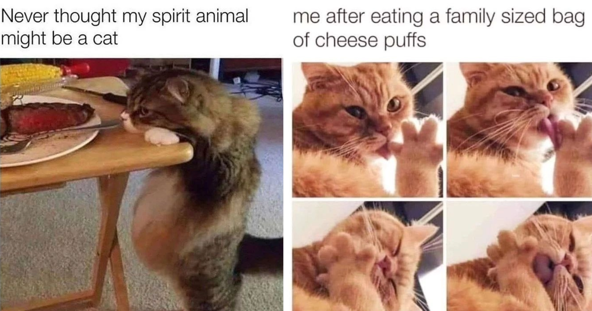 Happy Heartwarming Cat Memes For A Wholesome Hump Day - I Can Has ...