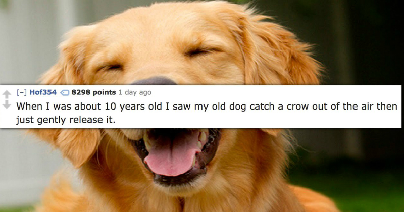 20 of the Craziest Things People Swore They Saw That No One Believed ...