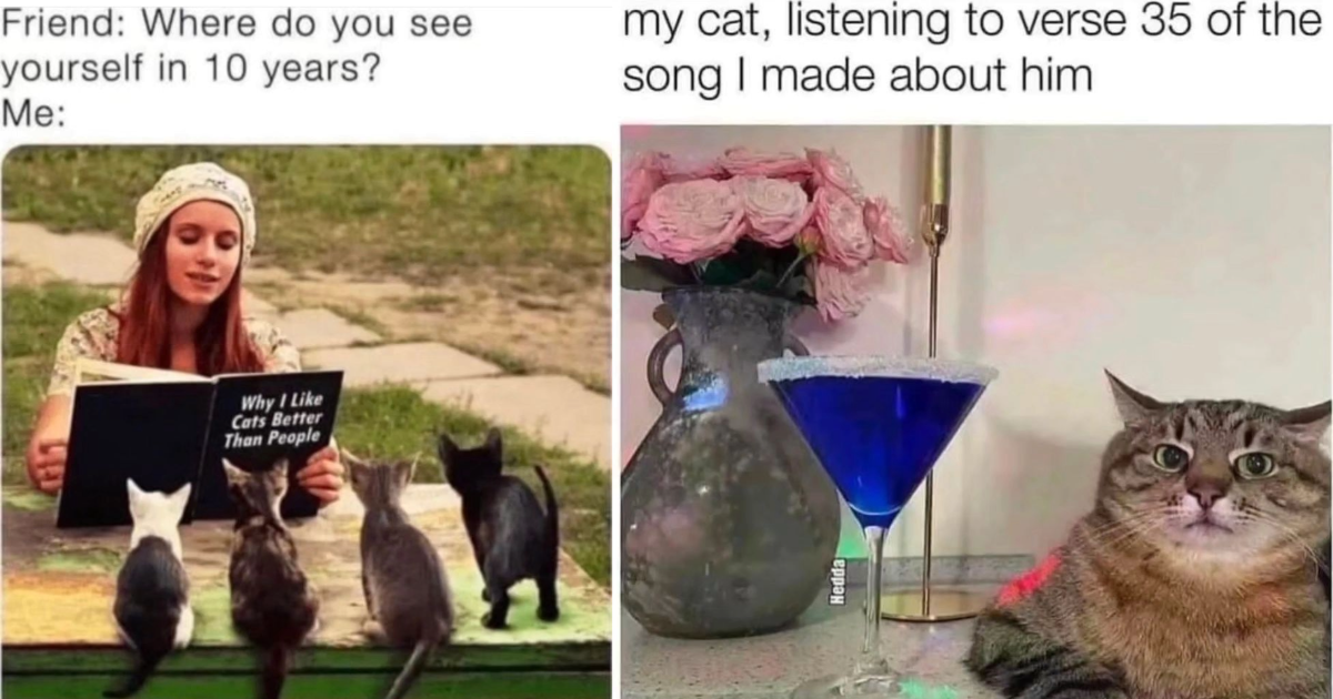 Wholesome Memes of Cats Giving Their Pawrents Their Undivided Attention ...