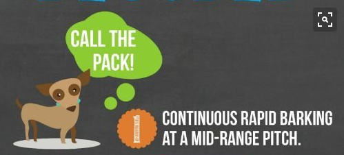 Get To Know Your Dog Better With The Ultimate Barking Guide - I Can Has ...