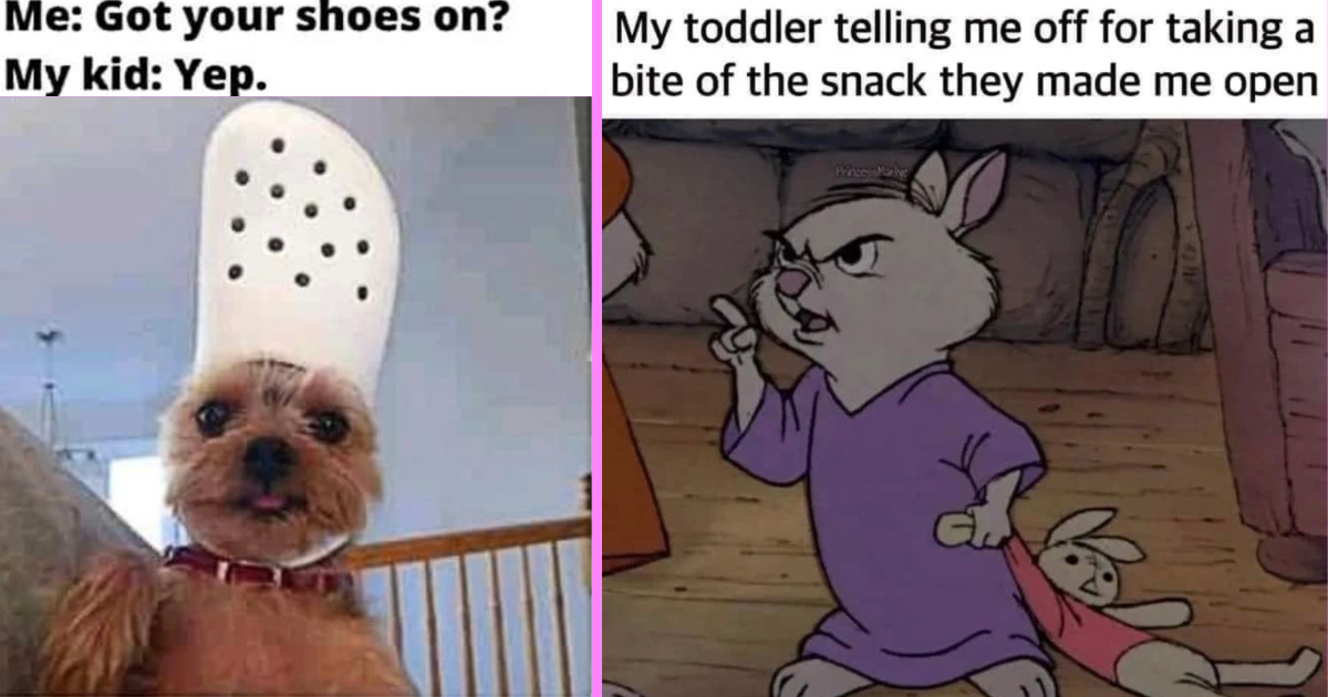 32 Memes for Couples Conquering Toddler Trials and Tribulations ...