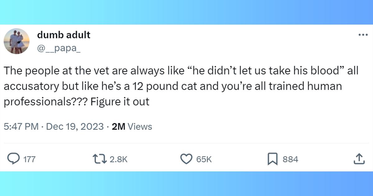 Cats Vs. Veterinarians: Felines Hissterically Defeating Trained Human ...