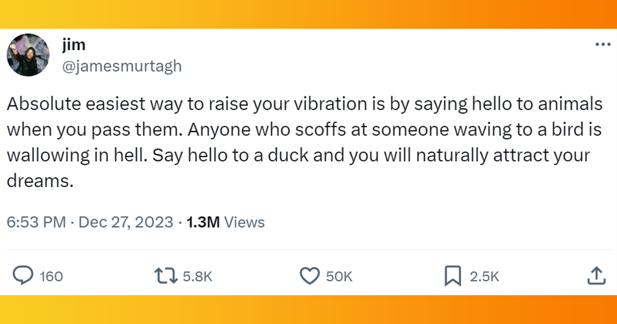 Funny Yet Mildly Absurd Tweets Every Animal Person Could Relate To In ...