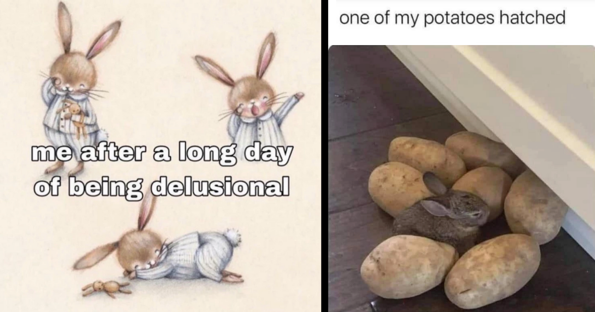 30 Funny Bunny Memes To Not Worry, Just Be Hoppy - Animal Comedy ...