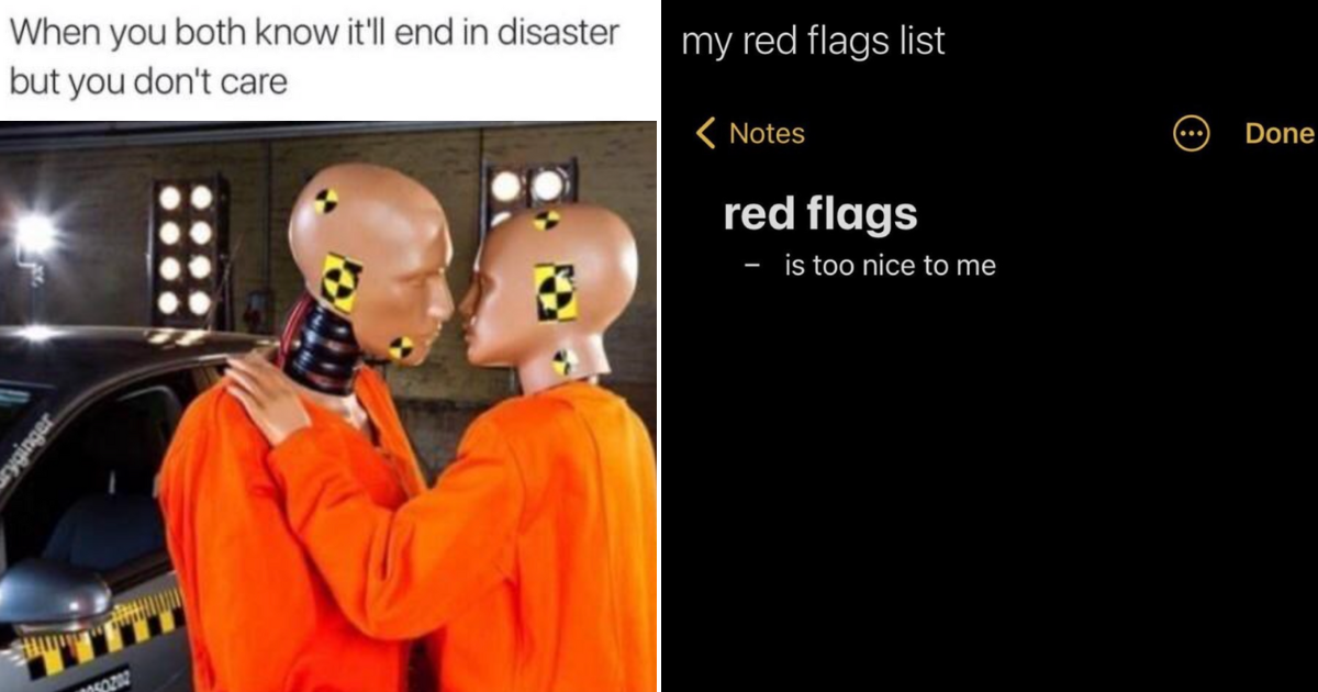 40 Complicated Relationship Memes for the Persistent Red Flag ...