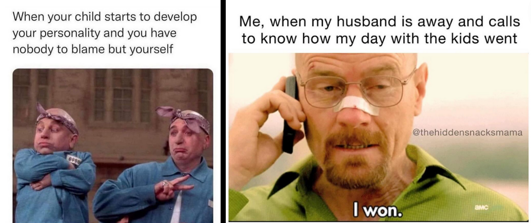 30 Clever Parenting Memes for Moms and Dads Figuring It Out Day by Day ...