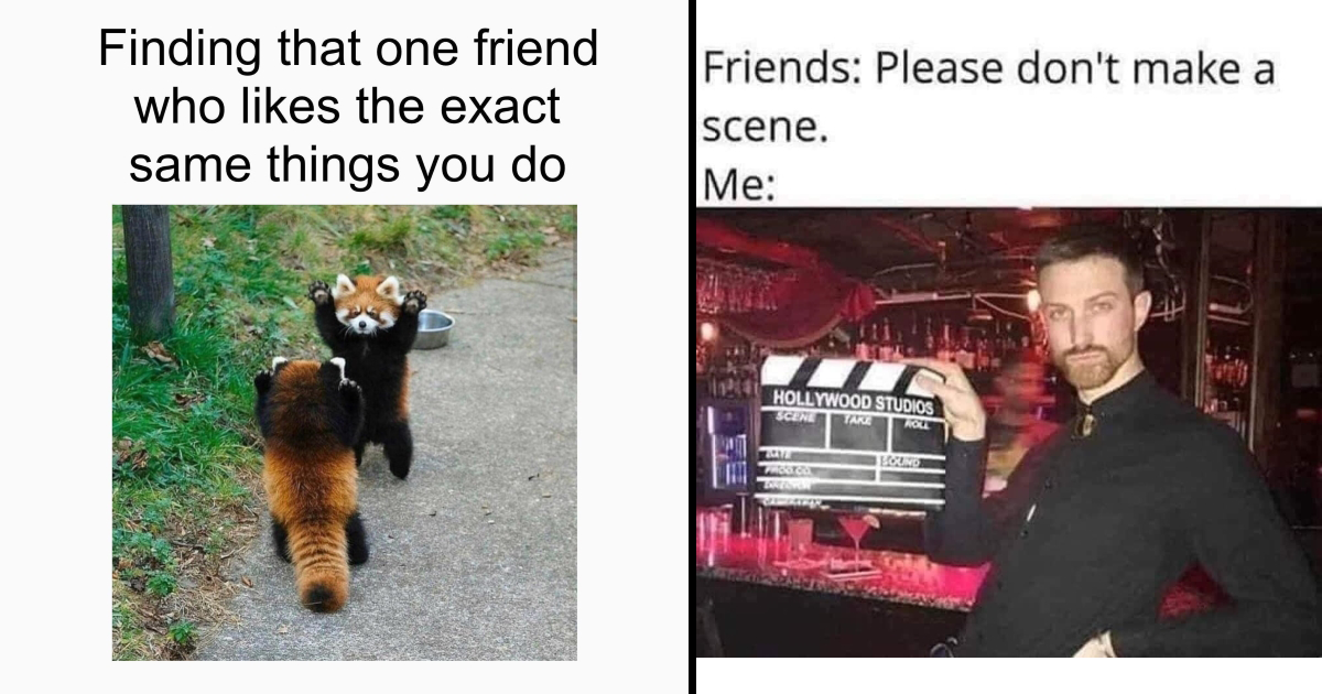 25+ Wholesome Friendship Memes That Celebrate Good Buddies - Memebase ...