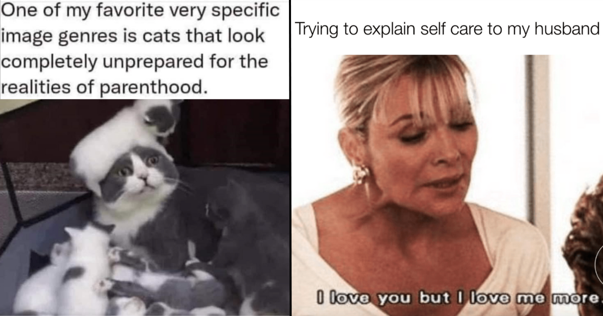 27 Playful Parenting Memes About Domestic Duties, Dynamics, and ...