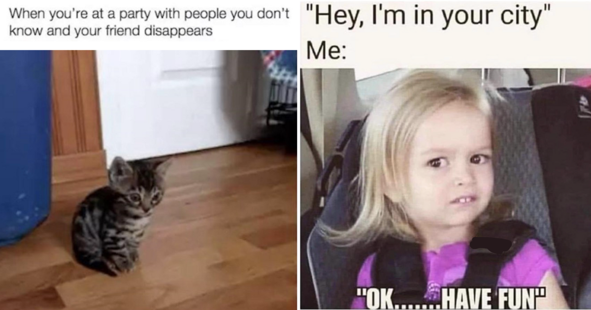 49 Modest Memes About What It Means to Be an Introvert Searching for ...