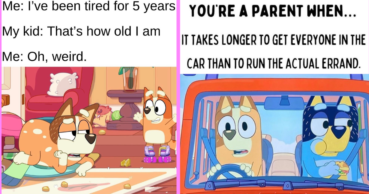 10 Hilarious Bluey Memes🌻 Experimente a adrenalina das apostas com a ...