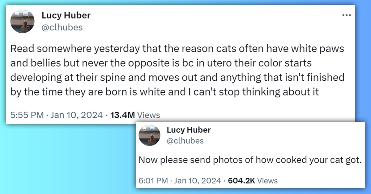 Undercooked, Slightly Crispy Or Fully Baked: Cats Whose Color Didn't ...