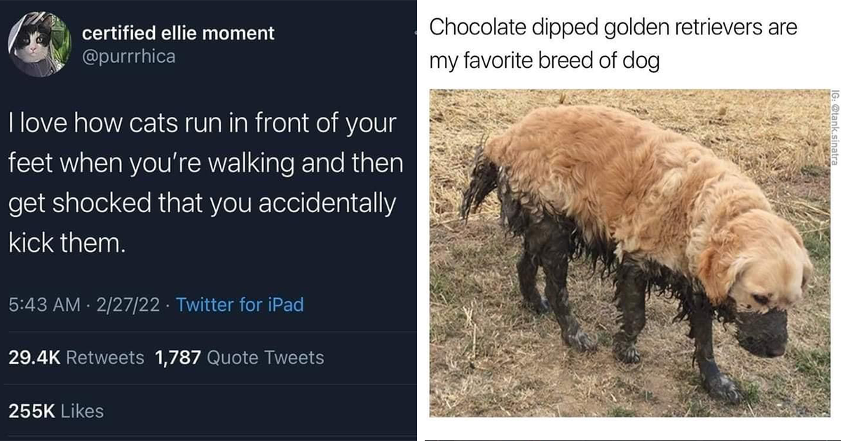 March Your Way Through This Melancholy Monday With These Mood-lifting ...