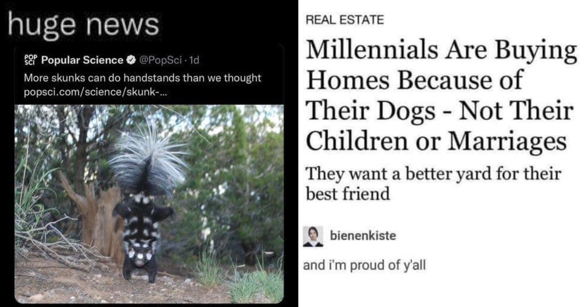 30 Absolutely Absurd Animal Memes That Successfully Pass The Vibe ...