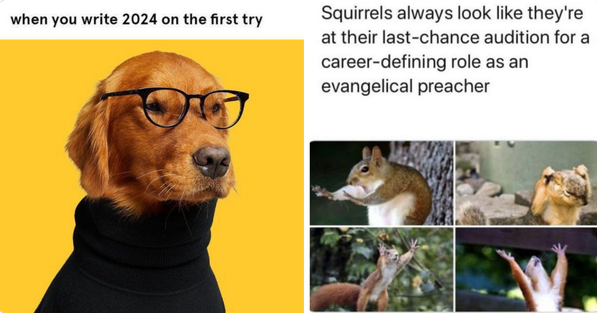 37 Wholesome Animal Pics And Memes To Start The Weekend With A ...