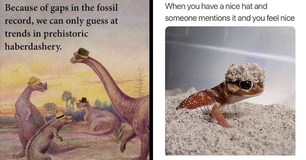 35+ Hat Memes To Put On Your Head - Memebase - Funny Memes