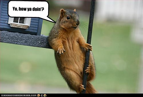 Yo, how ya doin'? - Cheezburger - Funny Memes | Funny Pictures