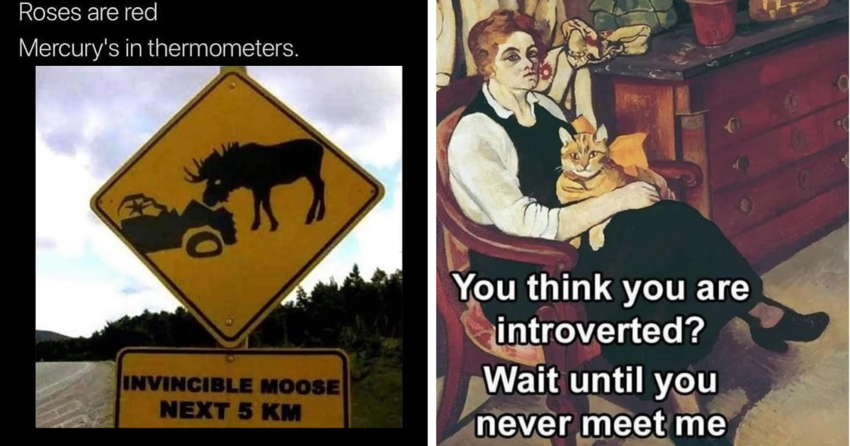 40 Funniest Animal Memes To Help You Giggle Your Way Out Of The Office ...