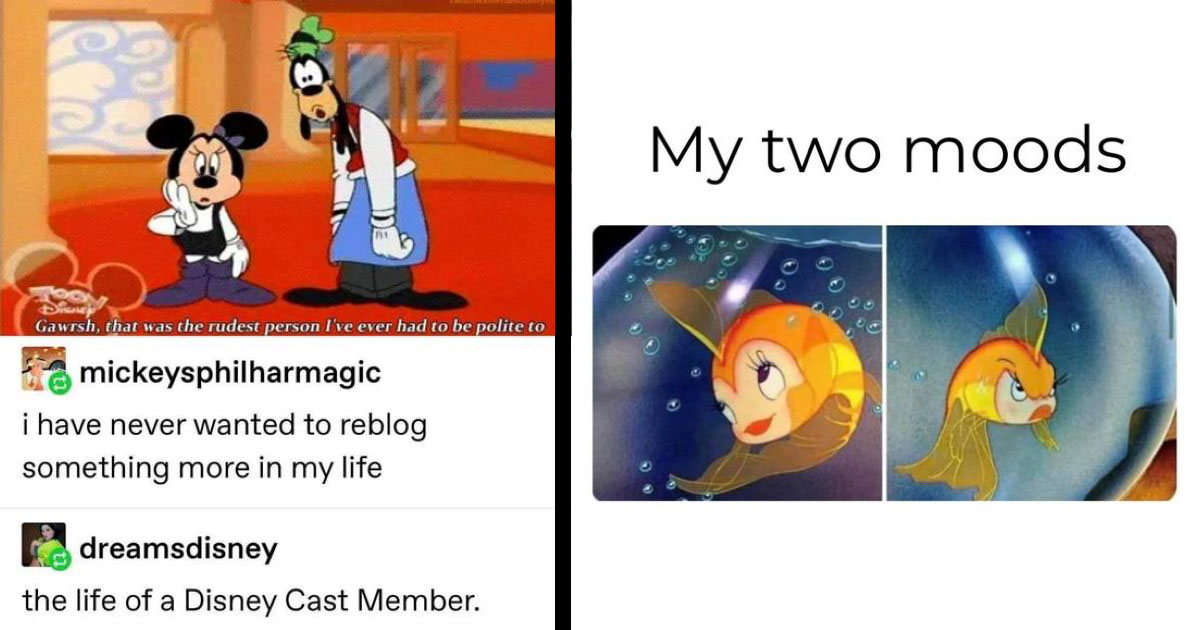 The Funniest Disney Memes of the Week (January 28, 2024) - Memebase ...