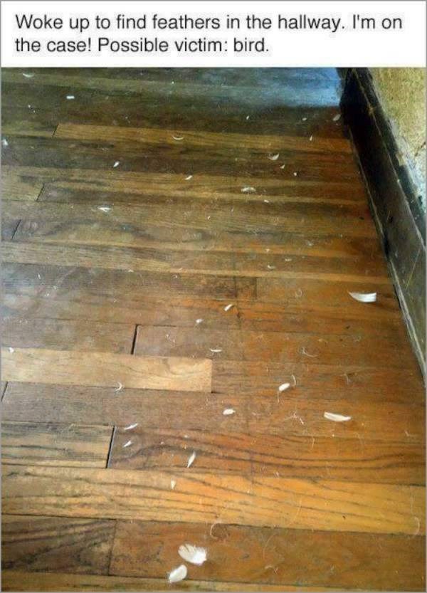 The Detective Solves The Case... And The Culprit Is Too Cute! - I Can ...