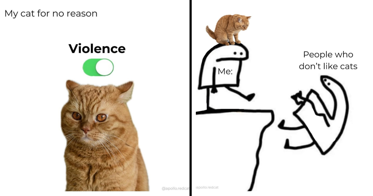 Obnoxious And Opinionated Orange Cat Memes To Help You Awaken Your ...