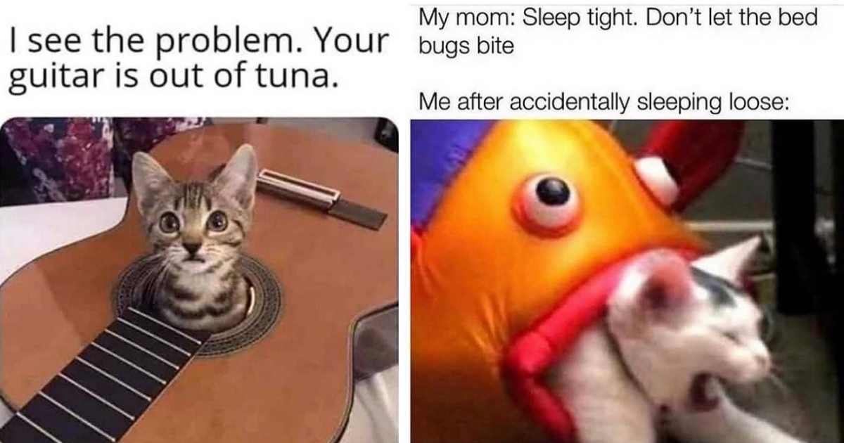 Cute And Clawminal Cat Memes To Get You Ready For The Work Week - I Can ...