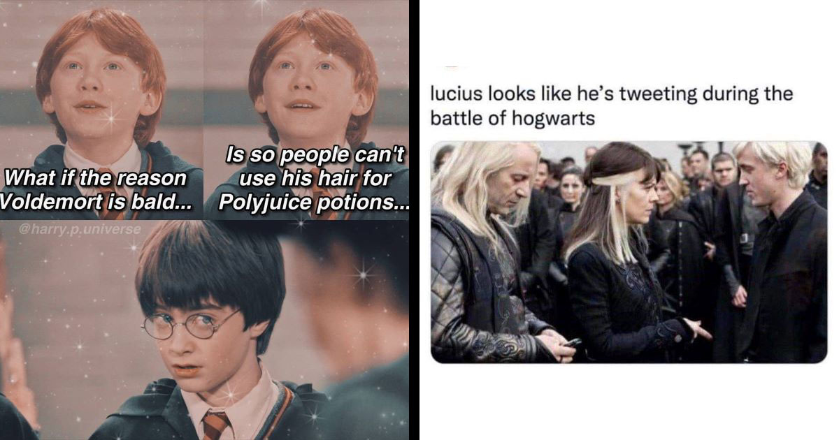 30+ of the Best Harry Potter Memes of the Week (January 31, 2024 ...