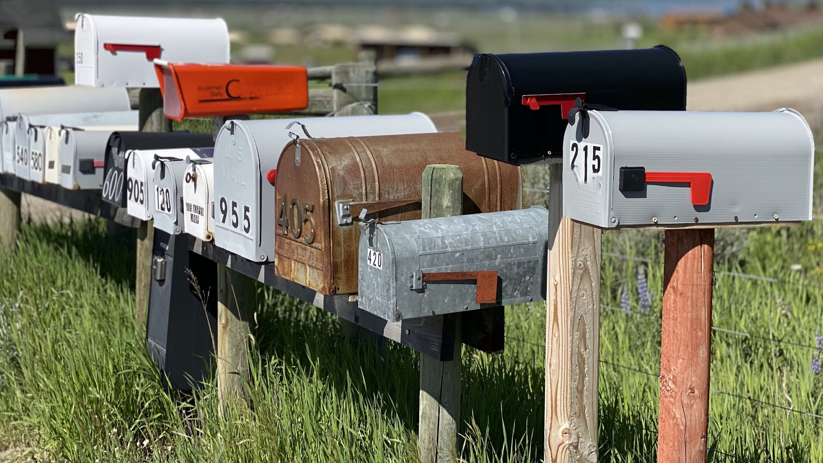 'They were planning on suing the professor': Vandals get served instant ...