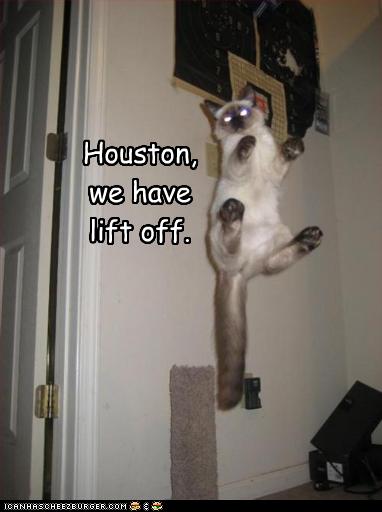 Houston, we have lift off. - Cheezburger - Funny Memes | Funny Pictures