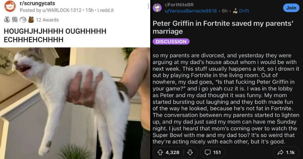 25+ Funny and Unhinged Reddit Posts That Deserve the Most Upvotes ...